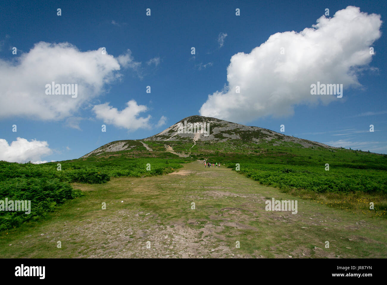 View on a Great Sugar Loaf mountain located in Kilmacanogue in East ...
