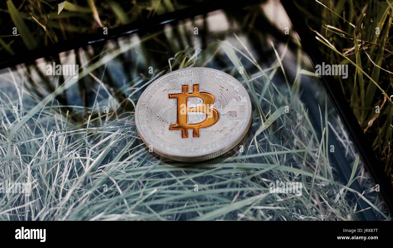 Digital currency physical metal bitcoin coin. Virtual money concept ...