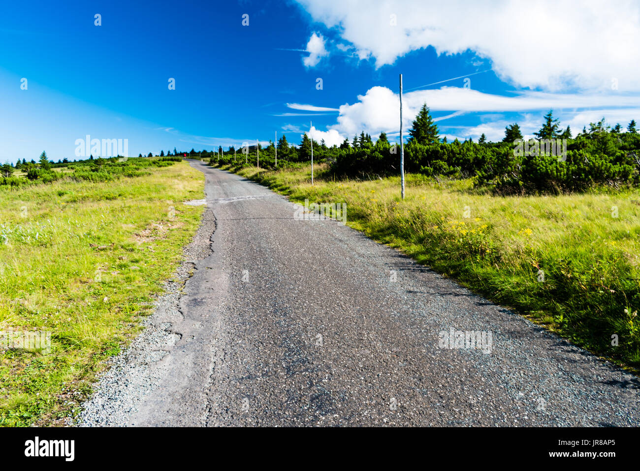 Touristic path in Krkonose National Park in Czech Republic on summer ...