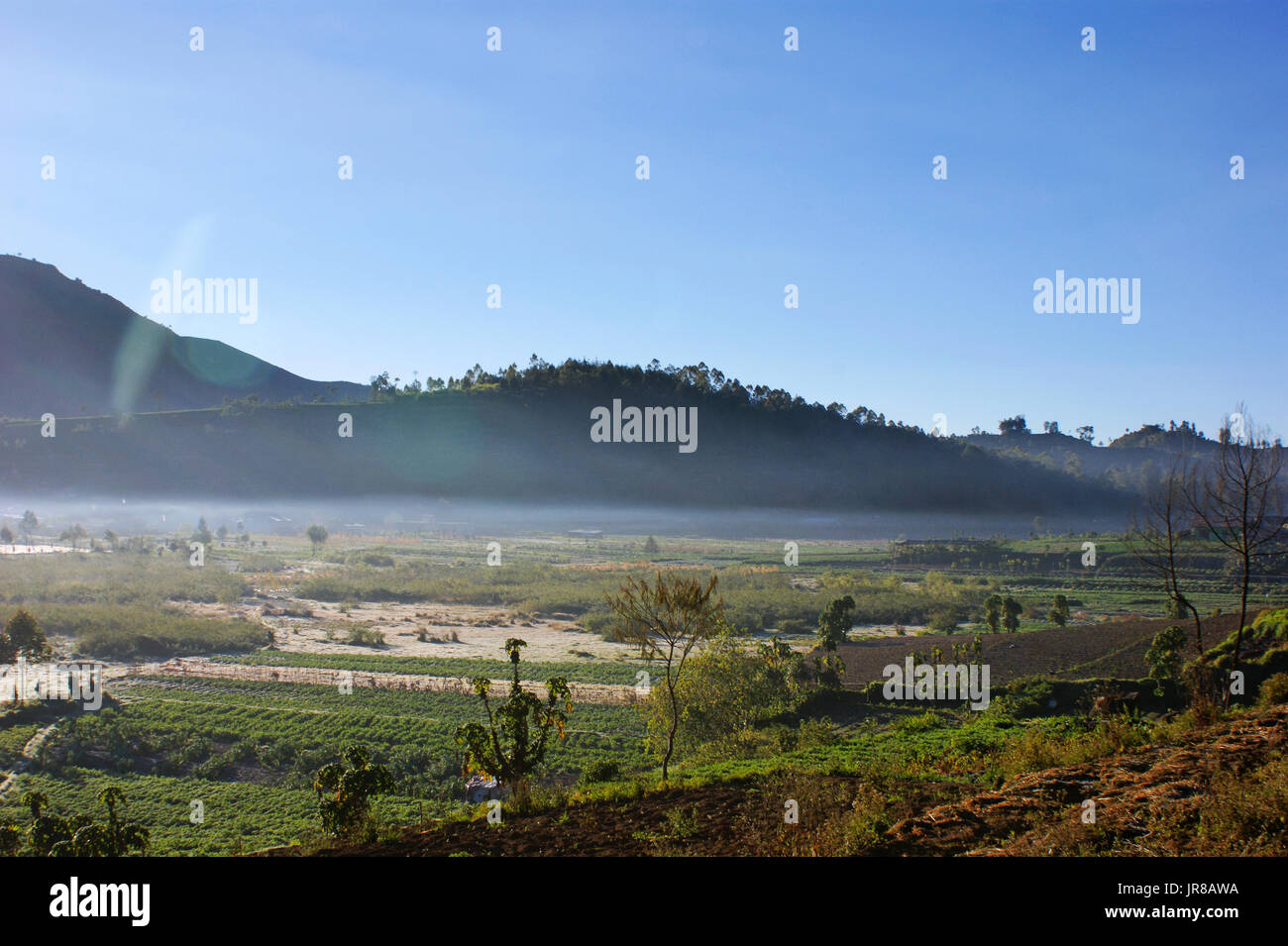 Dieng Plateau, Wonosobo, Central Java, Indonesia Stock Photo - Alamy
