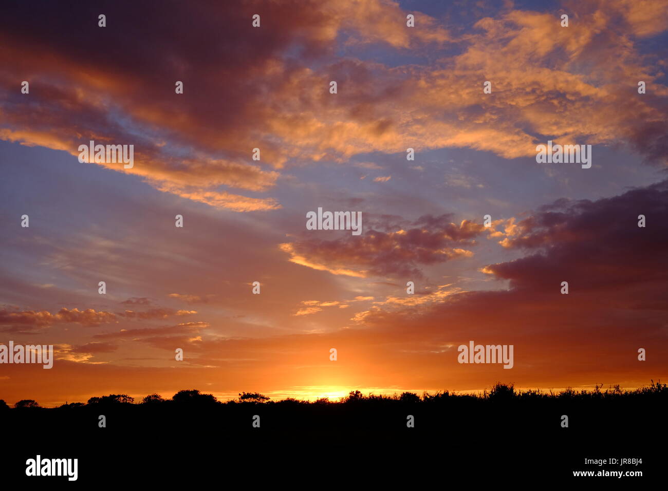 A spectacular August sunset over Chapel St Leonards in Lincolnshire ...