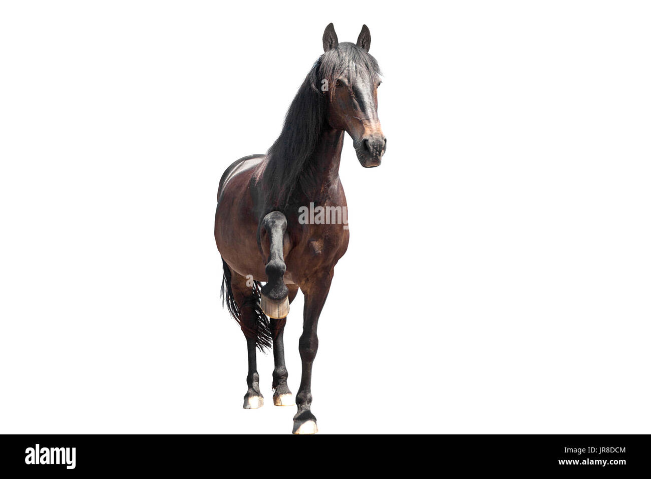 Lift looking Cut Out Stock Images & Pictures - Alamy