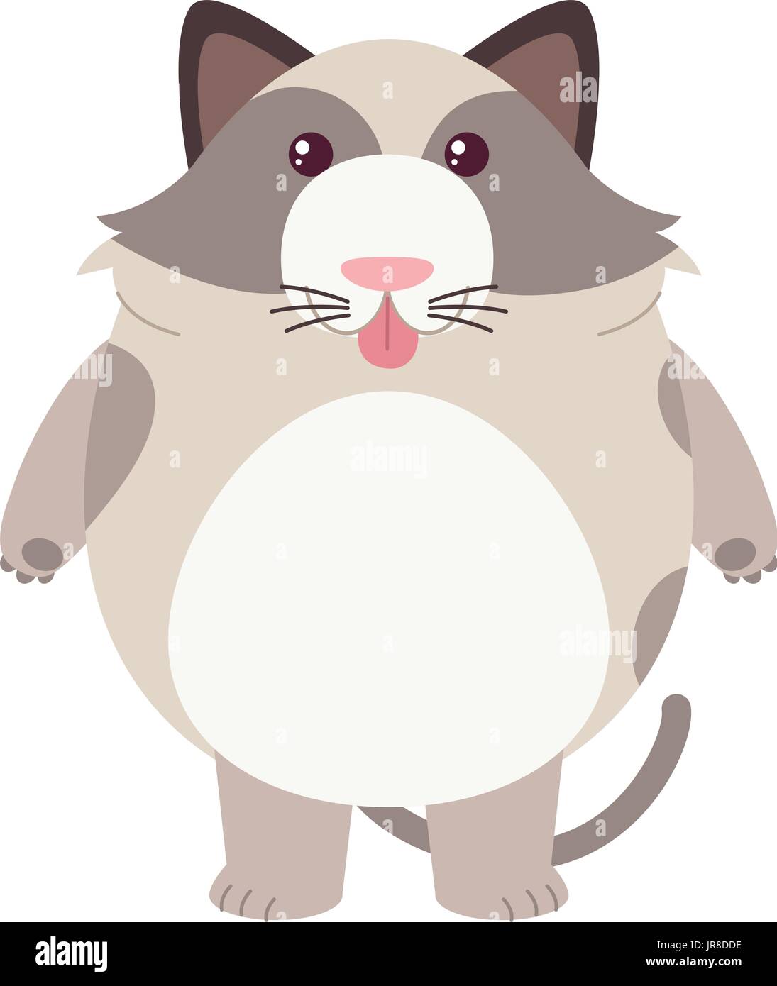 Fat cat on white background illustration Stock Vector Image & Art - Alamy