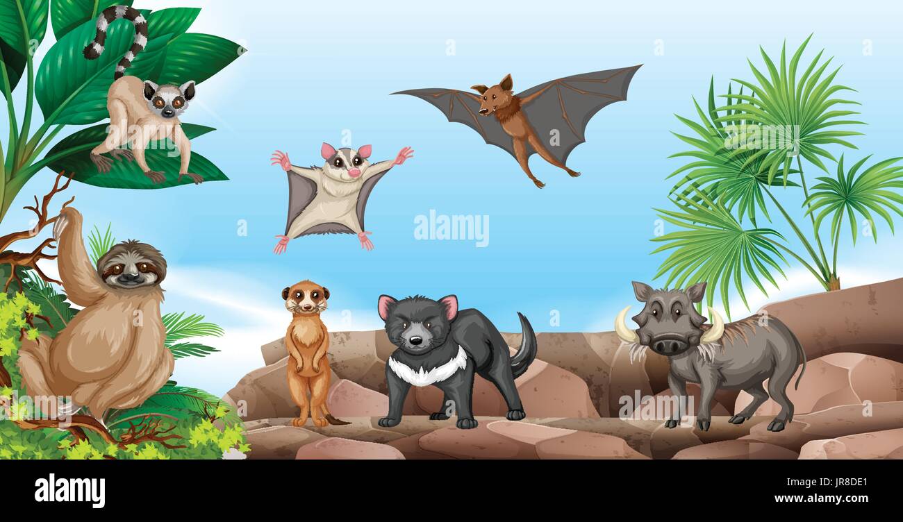Wild animals on the mountain illustration Stock Vector Image & Art - Alamy