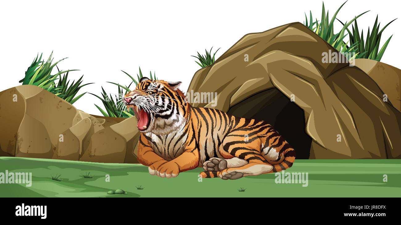 Tiger sleeping in front of the cave illustration Stock Vector Image ...