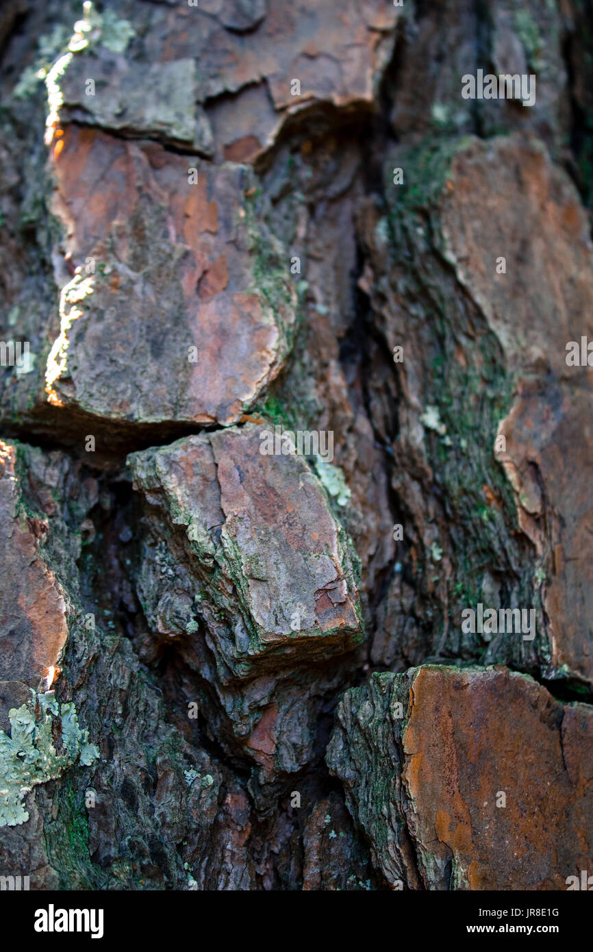 Nice backgrounds hi-res stock photography and images - Alamy