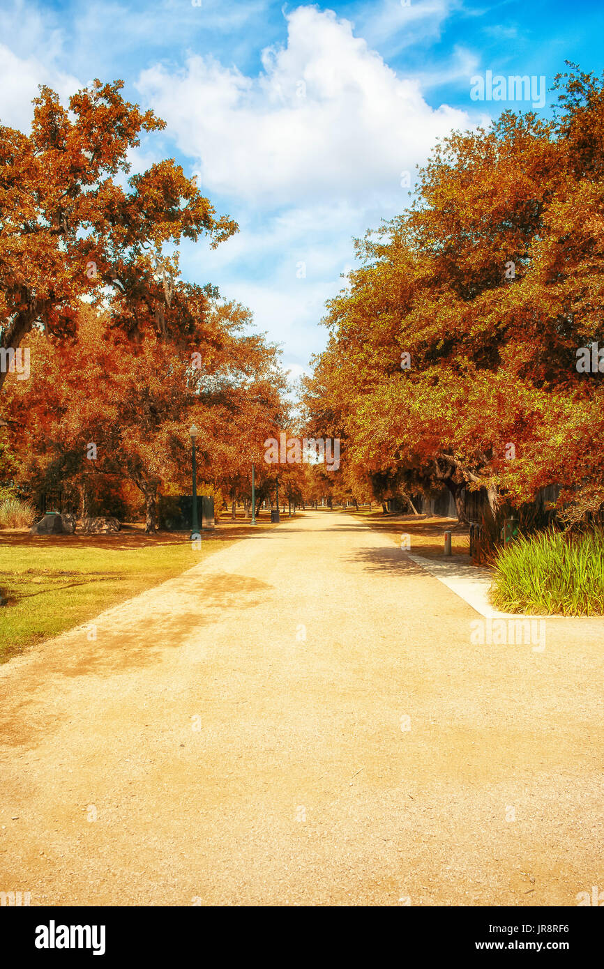 Dirt pathway in park hi-res stock photography and images - Alamy