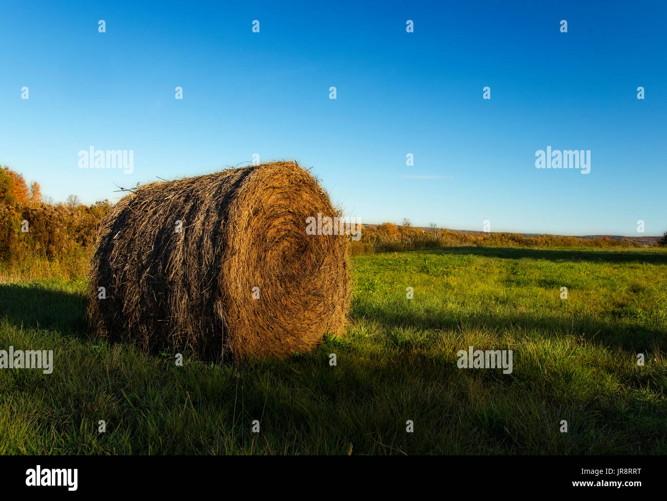 Round bale of hay hi-res stock photography and images - Alamy