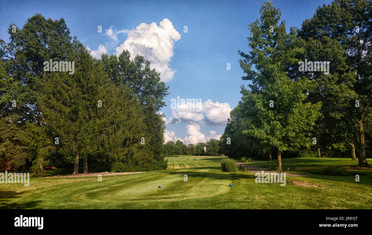 Golf fore hi-res stock photography and images - Alamy