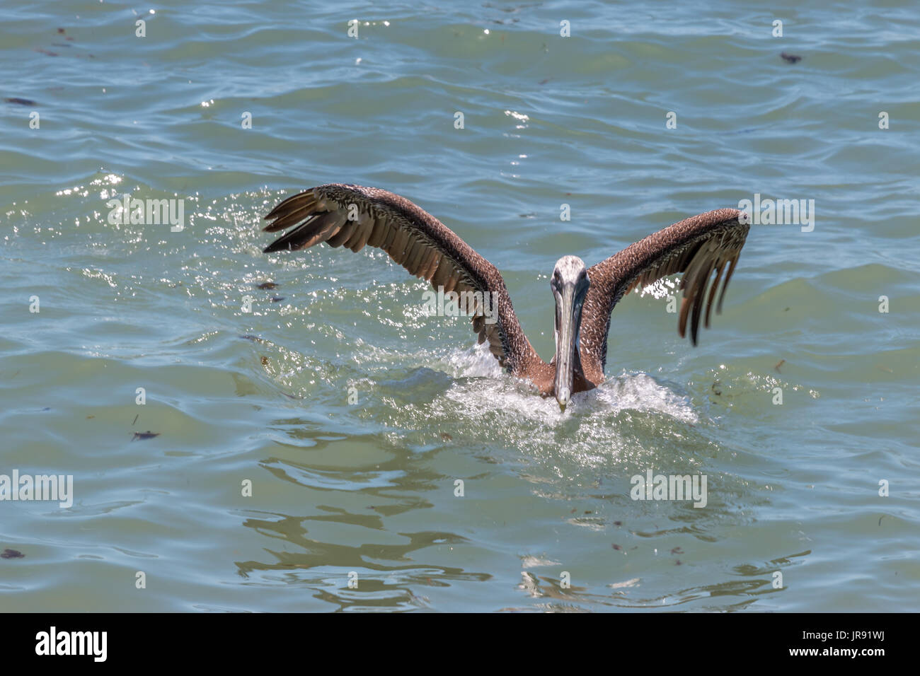 Water coming towards camera hi-res stock photography and images - Alamy