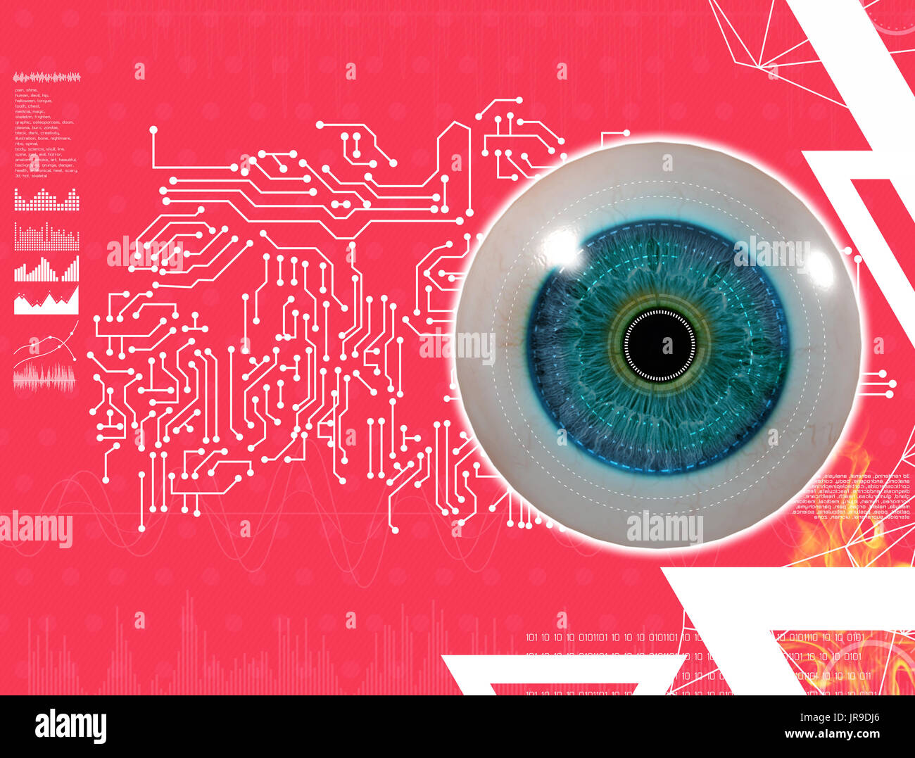3D medical illustration of the eye Stock Photo - Alamy