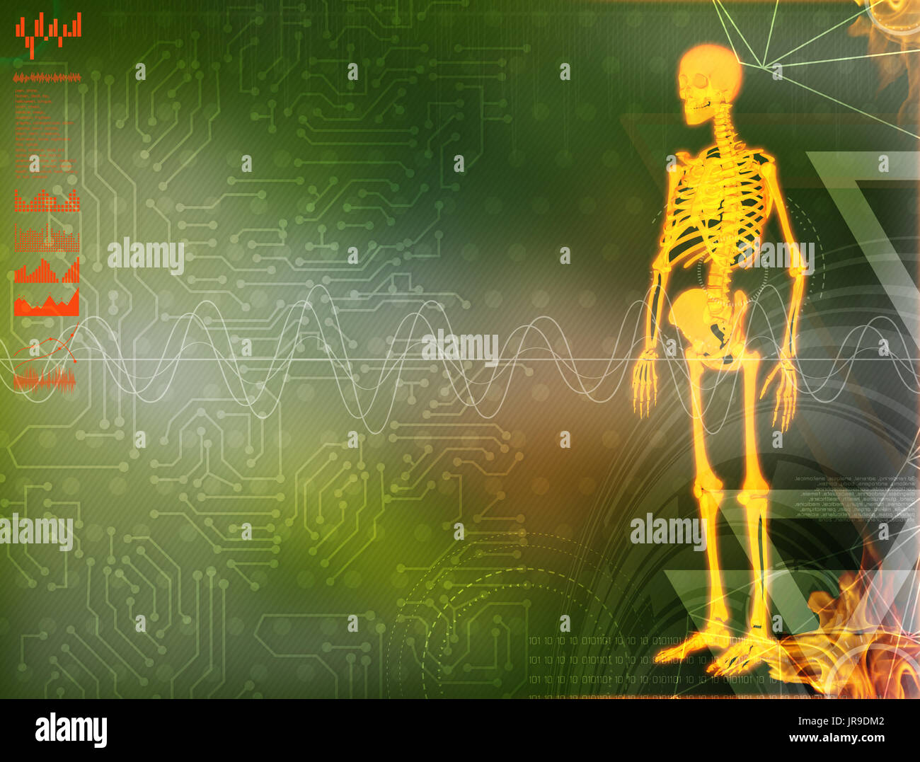 3d human body x rays 3d hi-res stock photography and images - Alamy