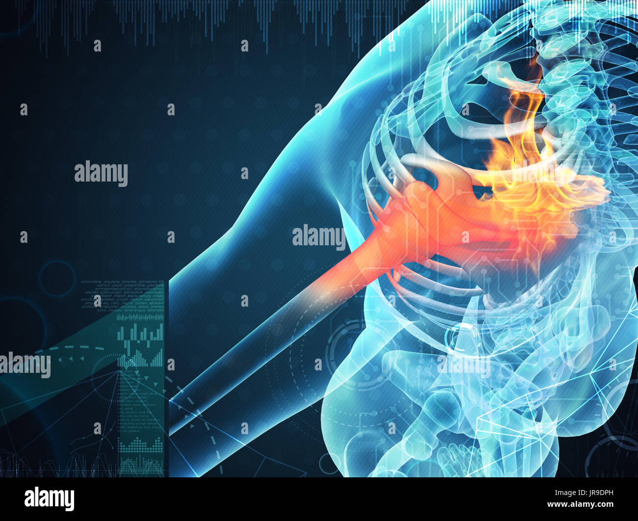 Anatomy of a skeleton hi-res stock photography and images - Alamy