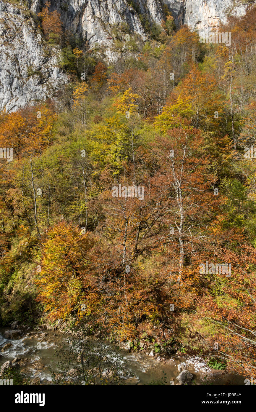 Foca bosnia hi-res stock photography and images - Alamy
