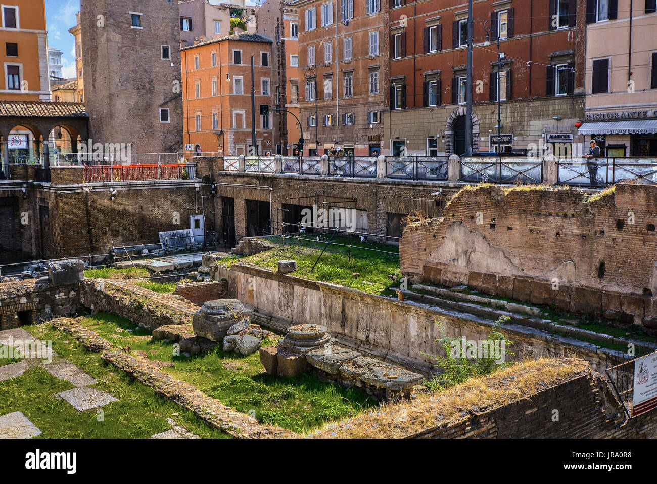 Stray Roman cats wander the ancient ruins in the Large de Torre ...