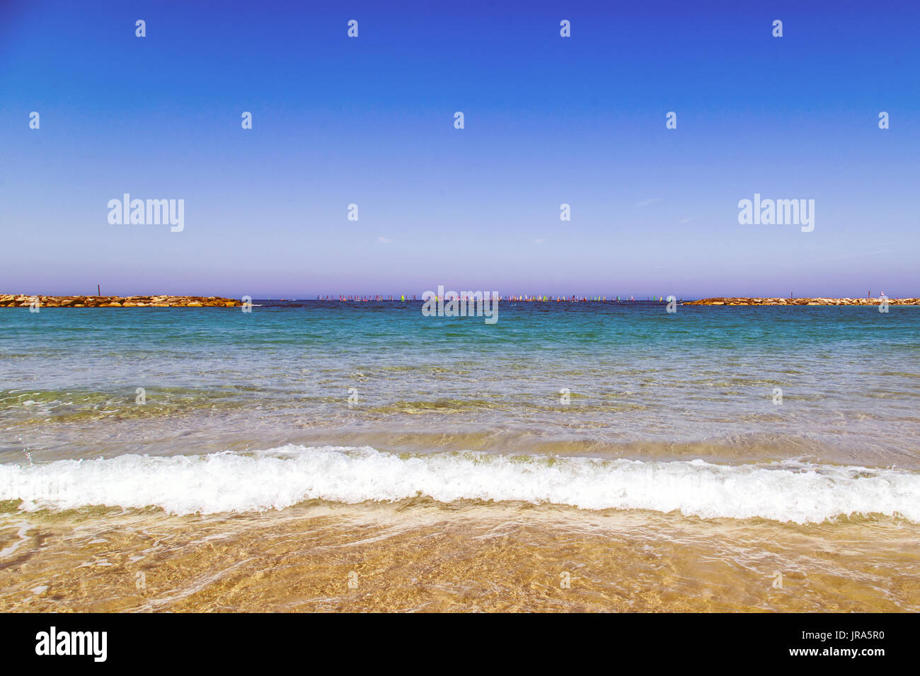 Jerusalem Beach in Tel Aviv at the Mediterranean Sea with surfers in ...