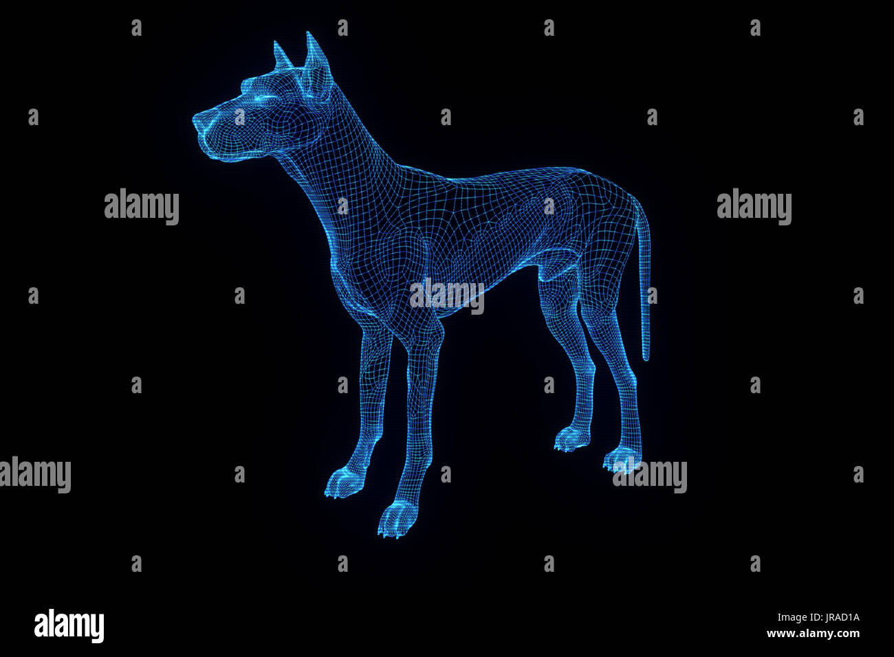 Dog in Hologram Wireframe Style. Nice 3D Rendering Stock Photo - Alamy