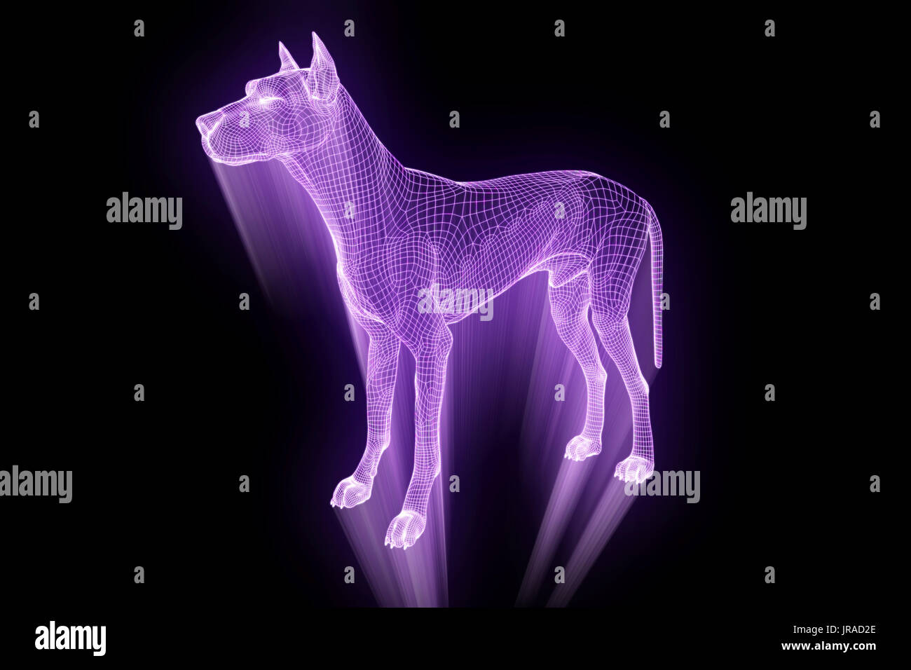 Dog in Hologram Wireframe Style. Nice 3D Rendering Stock Photo - Alamy