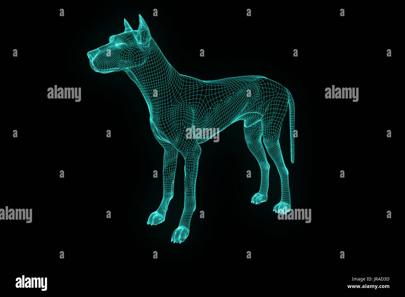 Dog in Hologram Wireframe Style. Nice 3D Rendering Stock Photo - Alamy