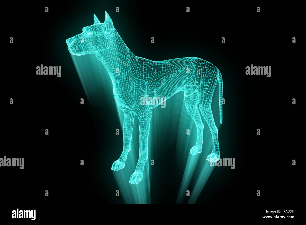 Dog in Hologram Wireframe Style. Nice 3D Rendering Stock Photo - Alamy