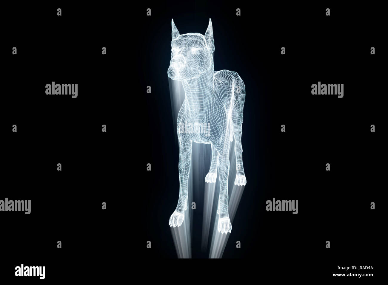 Dog in Hologram Wireframe Style. Nice 3D Rendering Stock Photo - Alamy