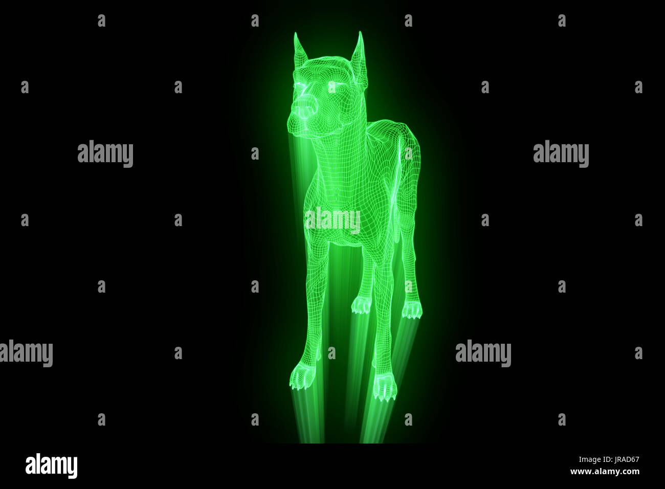 Dog in Hologram Wireframe Style. Nice 3D Rendering Stock Photo - Alamy