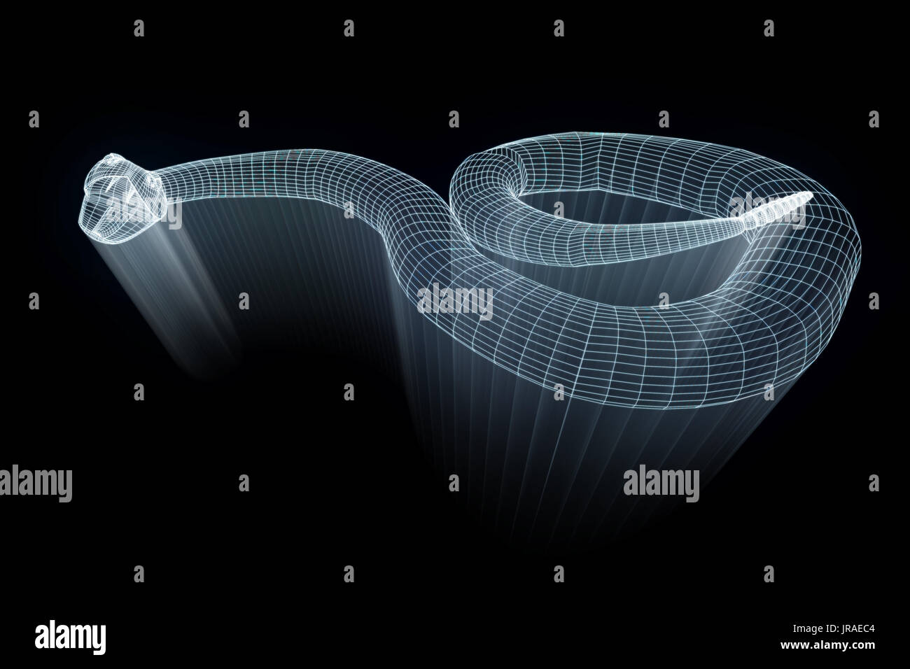 Snake in Hologram Wireframe Style. Nice 3D Rendering Stock Photo - Alamy