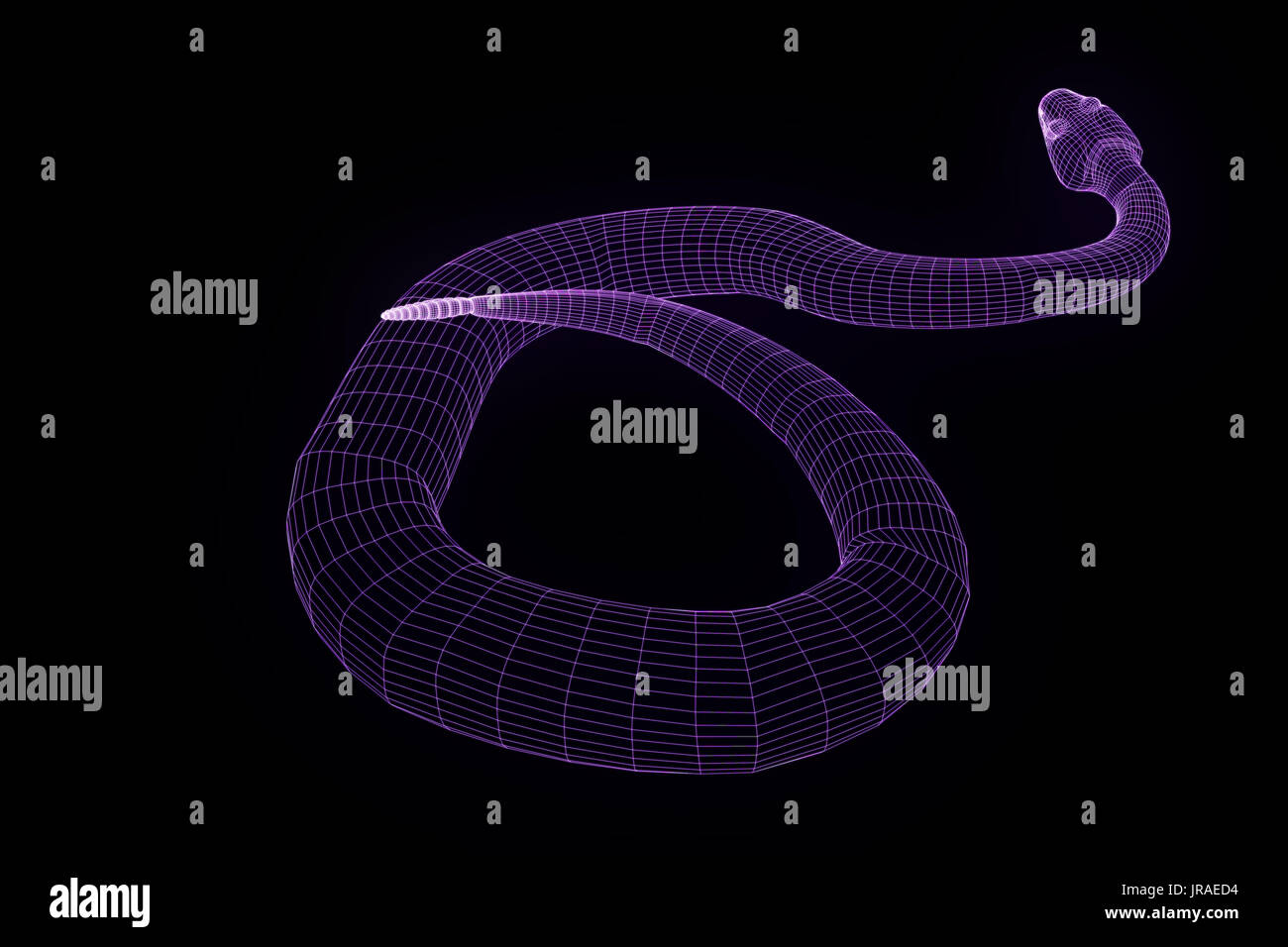 Snake in Hologram Wireframe Style. Nice 3D Rendering Stock Photo - Alamy
