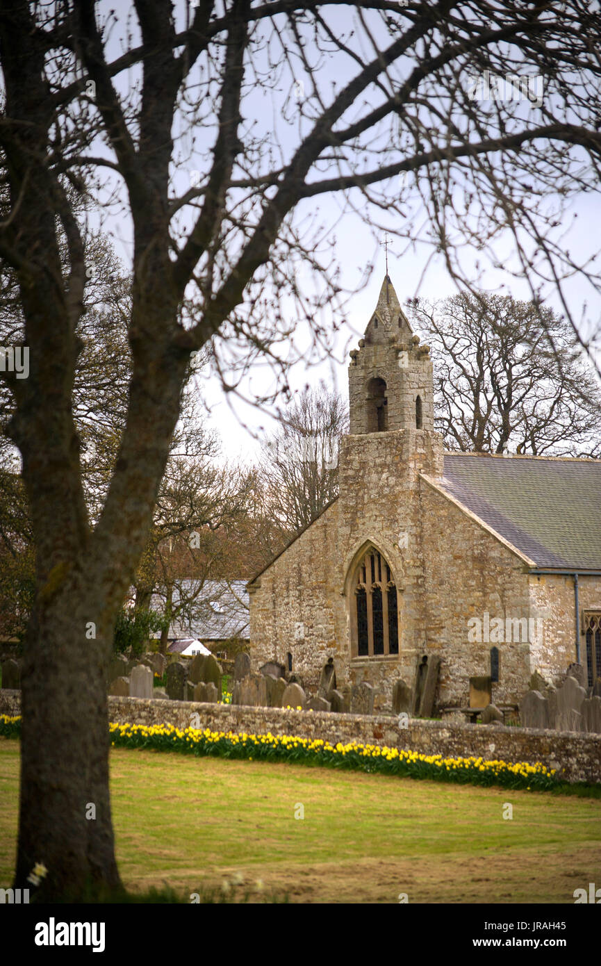 Elsdon northumberland hi-res stock photography and images - Alamy