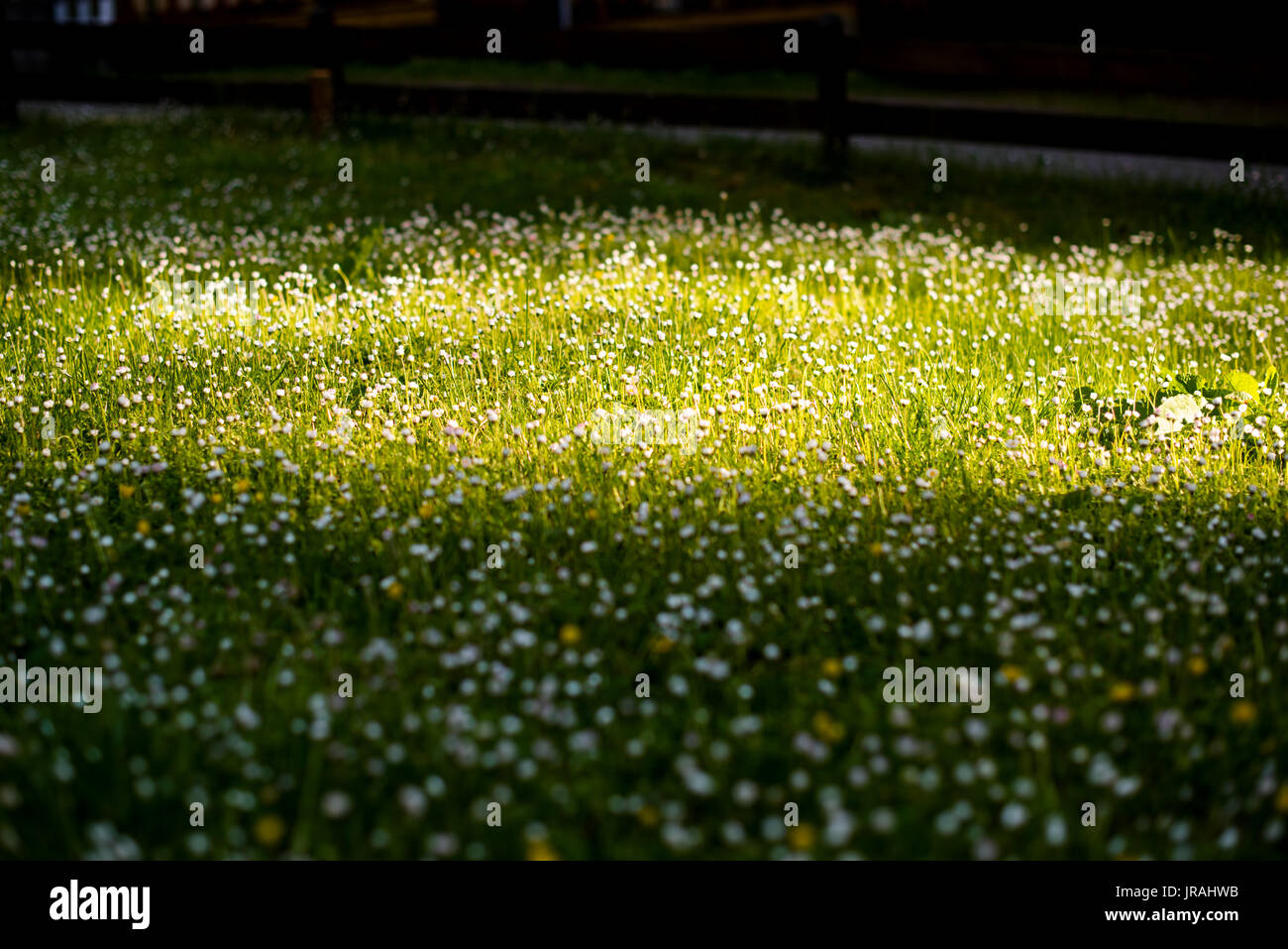 Stockholm sunlight hi-res stock photography and images - Alamy