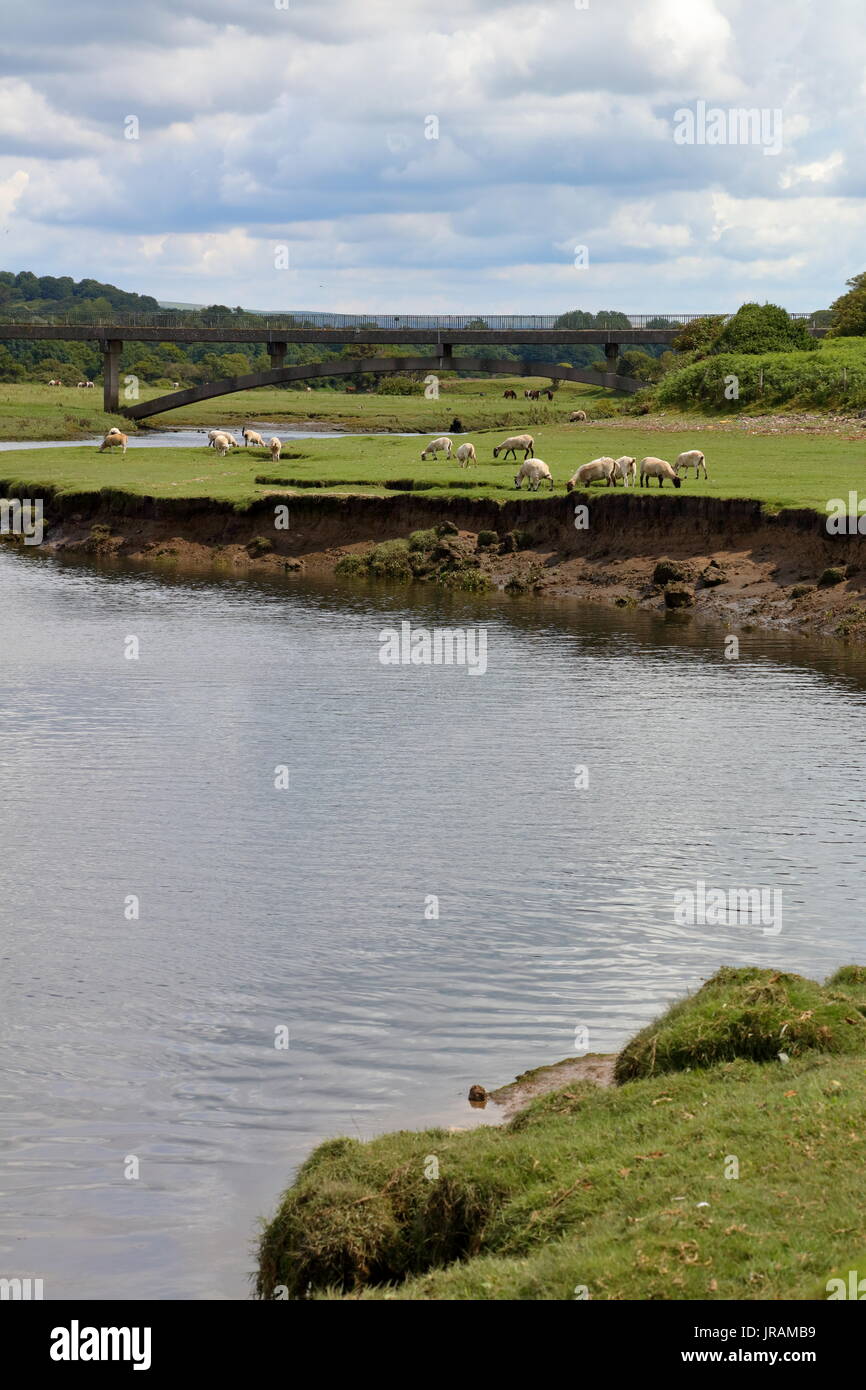The river Ogmore (Aberogwr) flowing out towards the ocean with green ...