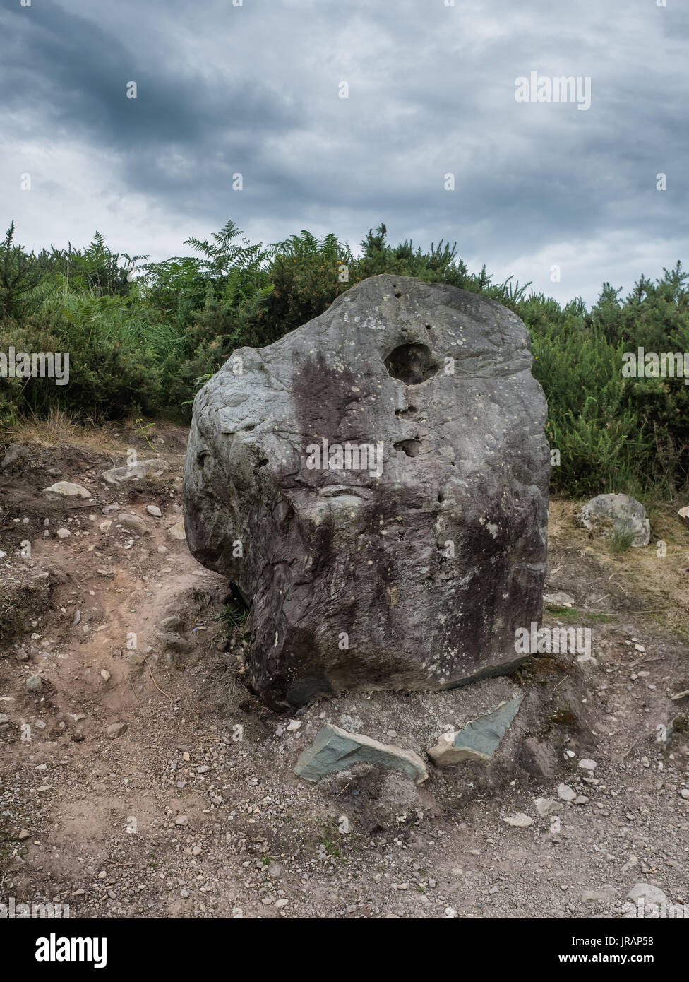 Ireland bonane heritage park hi-res stock photography and images - Alamy