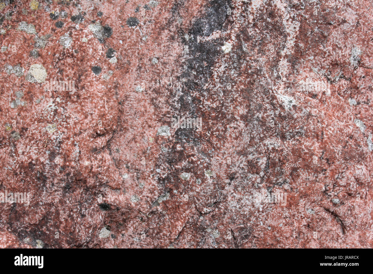 Red Encrusting Lichen On Rock Stock Photo - Alamy
