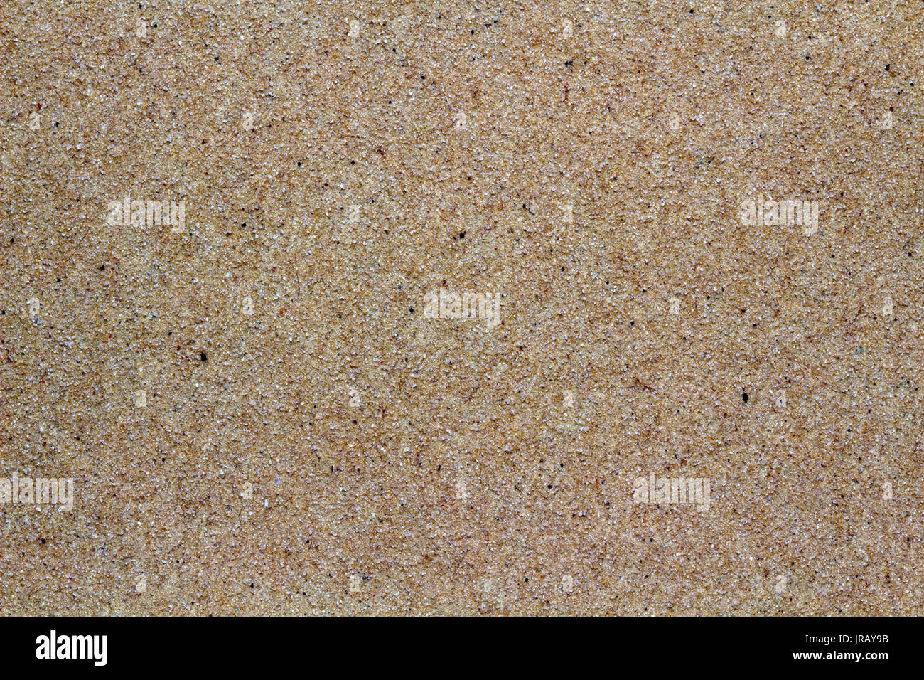 Closeup image showing the texture of fine yellow sandpaper Stock Photo ...