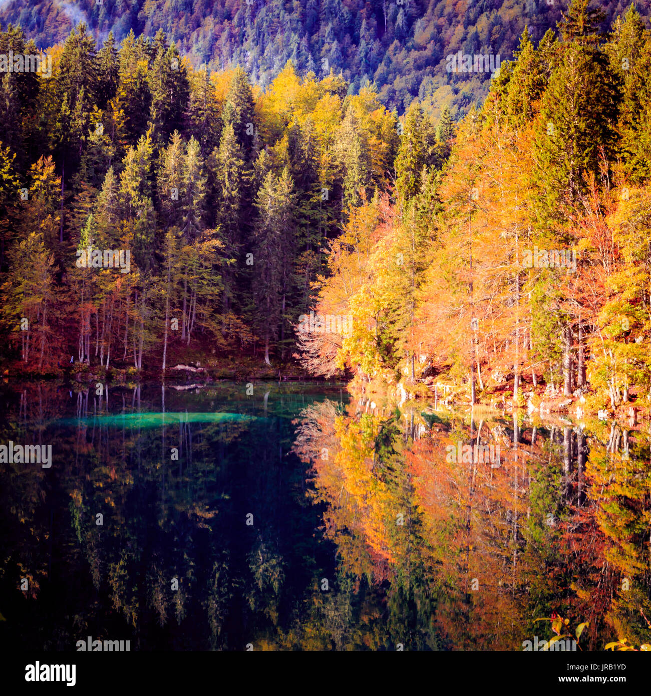 Fall in the italian alps in a misty day Stock Photo - Alamy