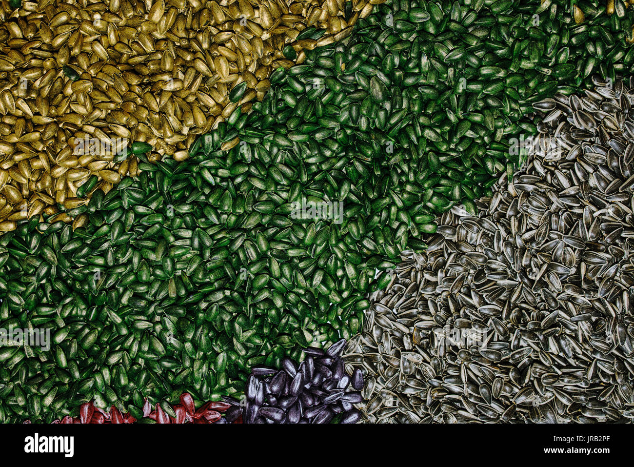 Multi-colored sunflower seed as background for agriculture and ...