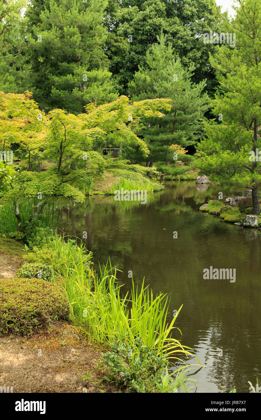 Japan toji temple hi-res stock photography and images - Alamy