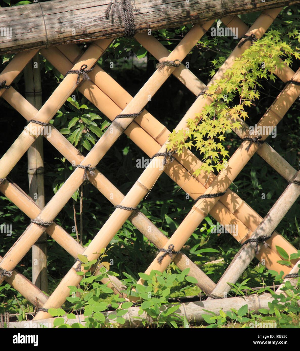 Japanese Bamboo Fence Design