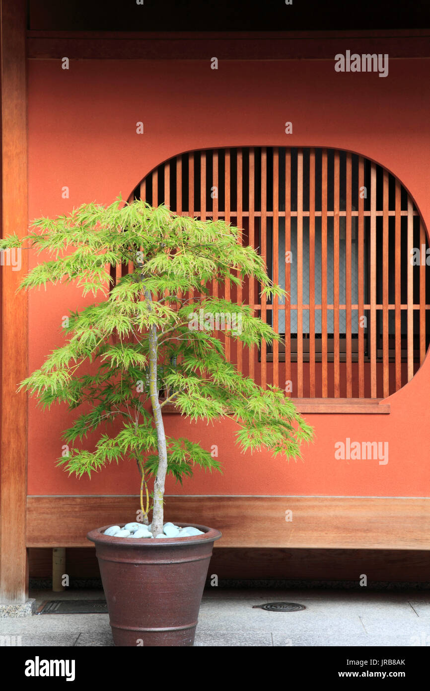 Japan tree house hi-res stock photography and images - Alamy