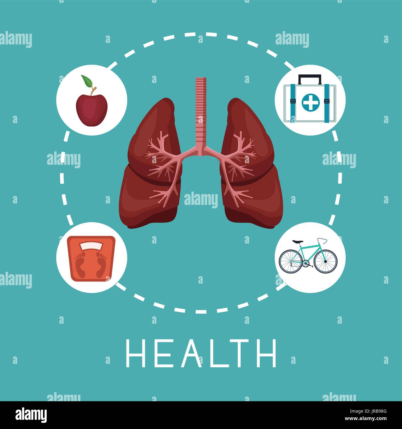 Lungs Diagram High Resolution Stock Photography and Images - Alamy