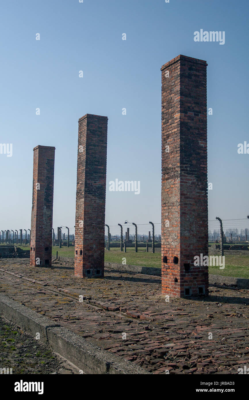 Chimneys from destroyed barrack or crematorium in Auschwitz Birkenau ...