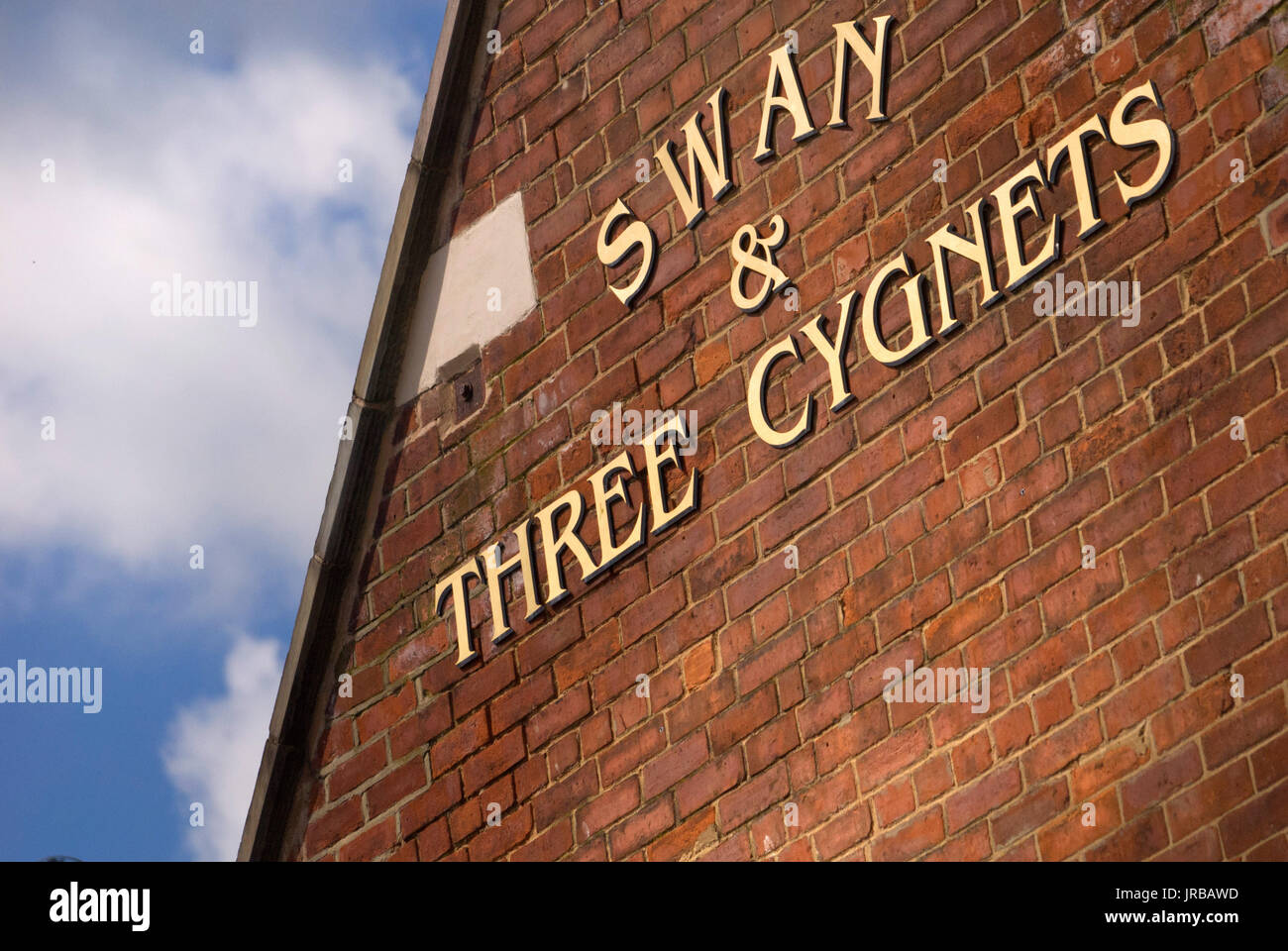 Swan and three cygnets durham hi-res stock photography and images - Alamy