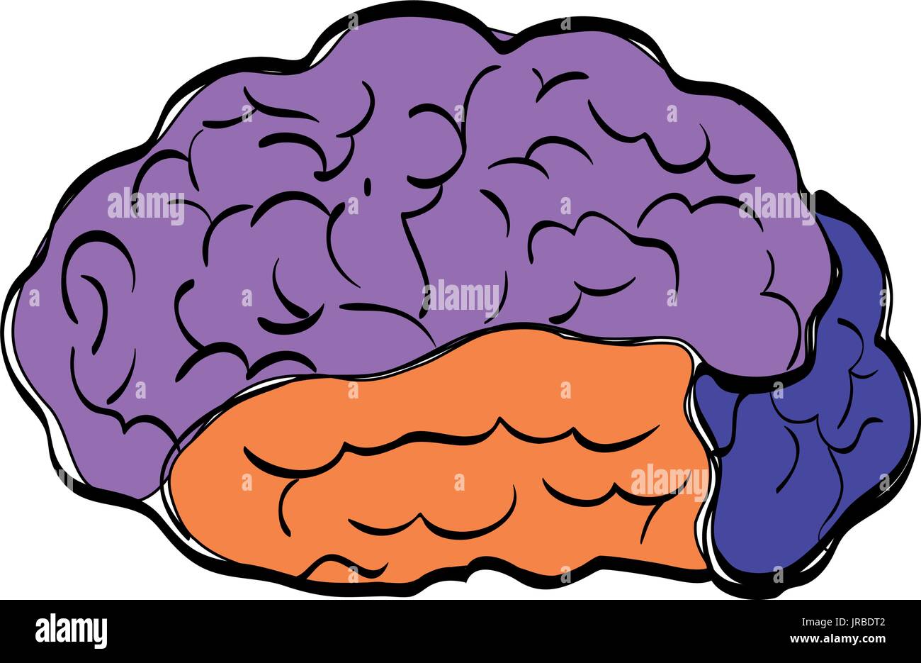 Human brain symbol Stock Vector Image & Art - Alamy