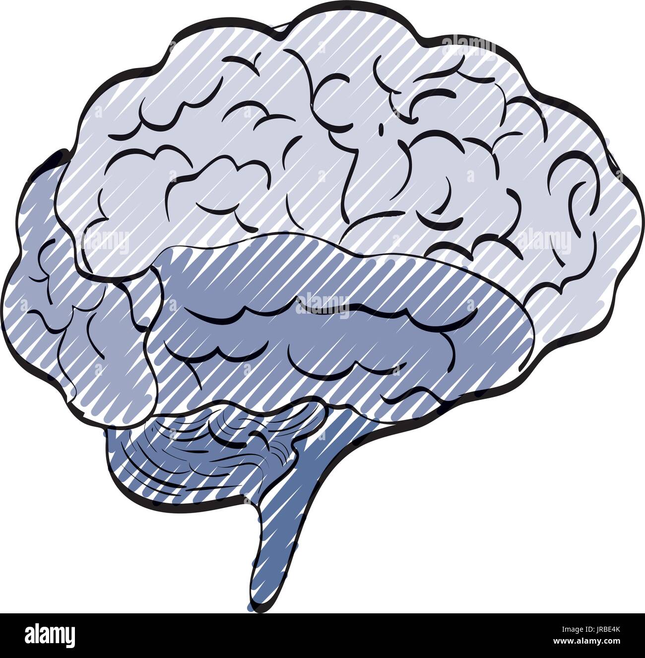 Human brain symbol Stock Vector Image & Art - Alamy