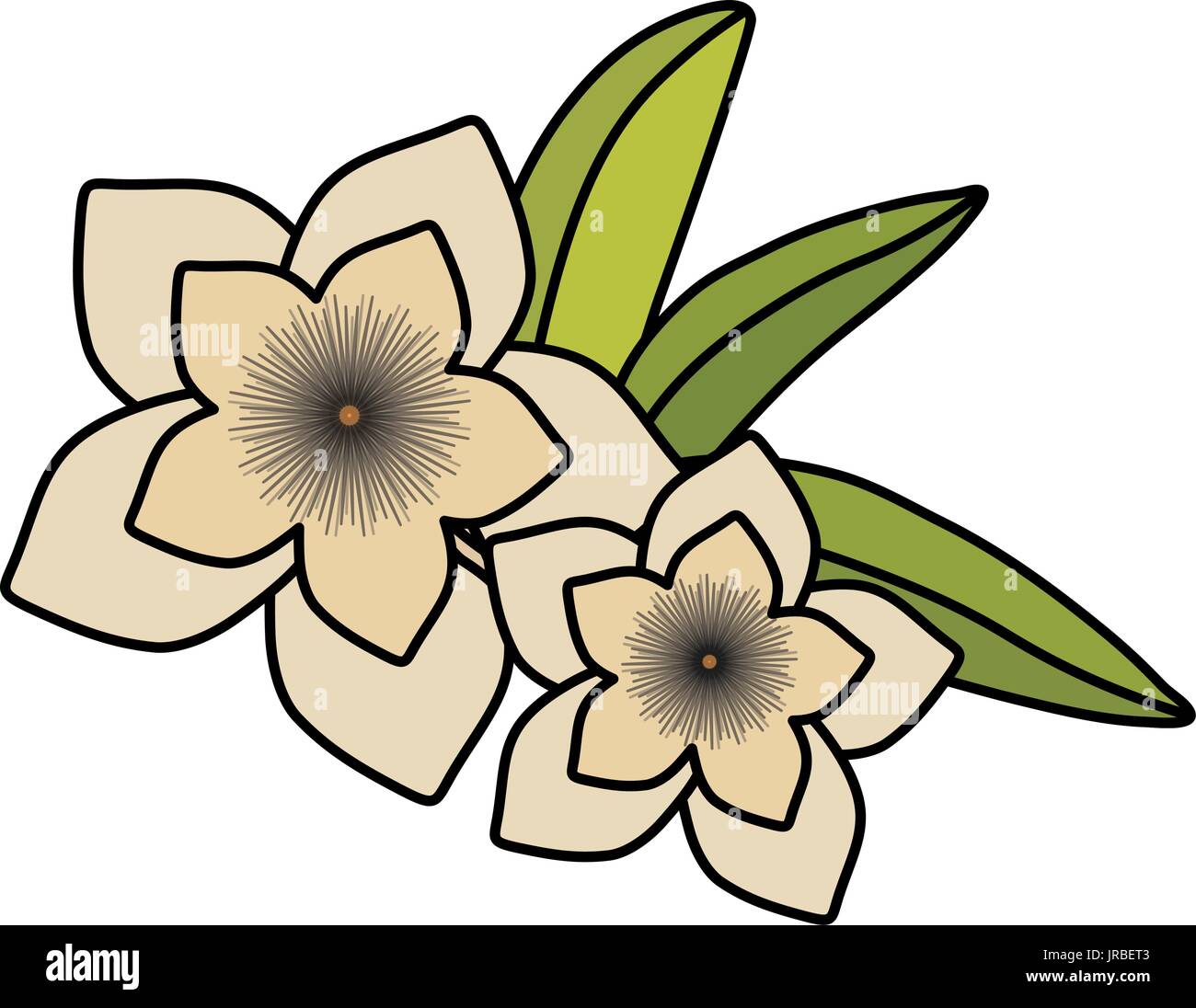 Beautiful flower symbol Stock Vector Image & Art - Alamy