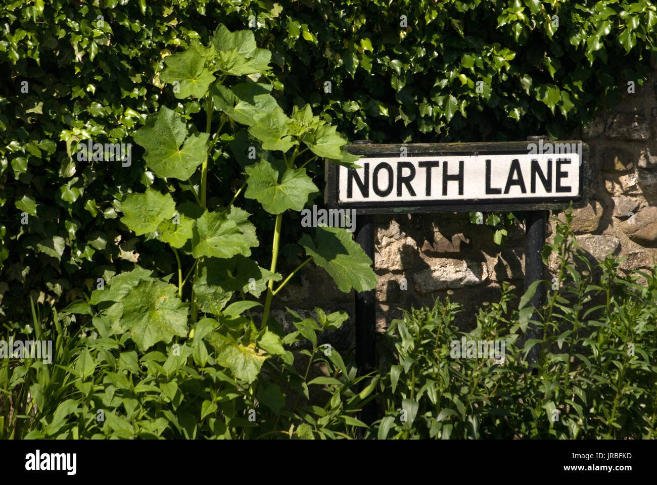 North lane hi-res stock photography and images - Alamy