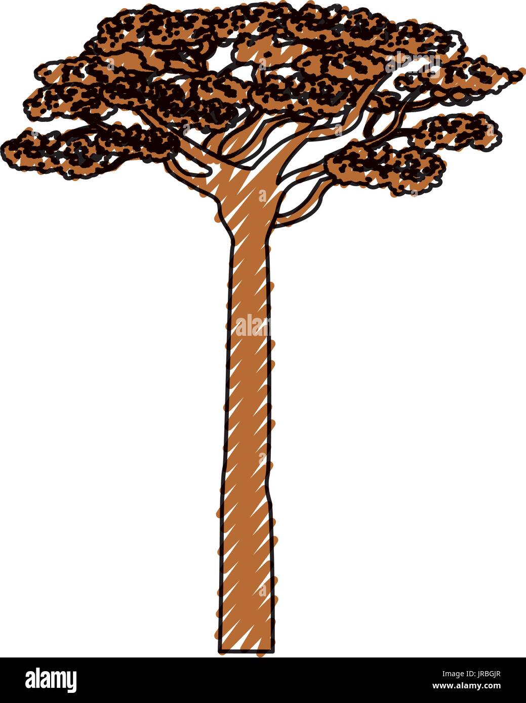African tree isolated Stock Vector Image & Art - Alamy