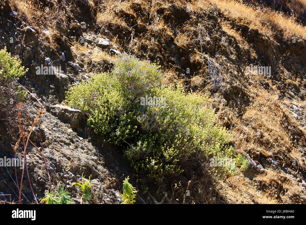 Cretan sea wild coastline and countryside with a blue sky Stock Photo ...