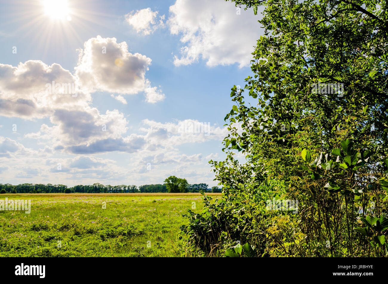 Beautiful scenery. Blue sky with clouds and sun and sunbeams around ...
