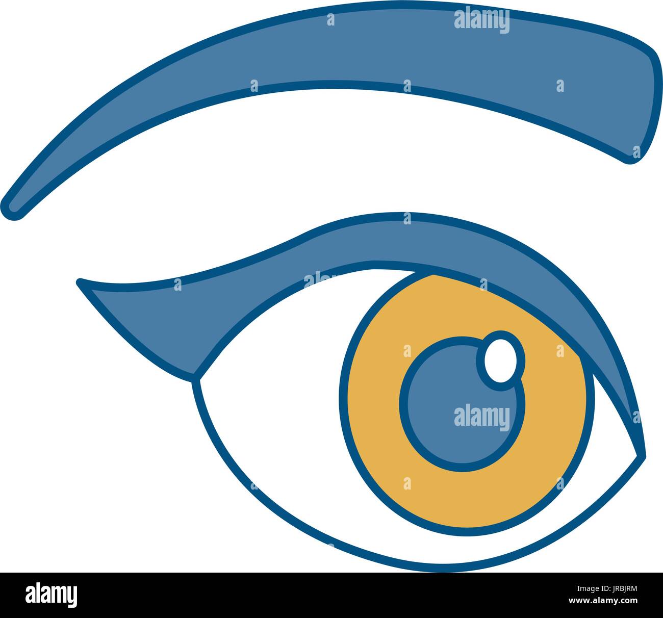 eye and eyebrow icon Stock Vector Image & Art - Alamy
